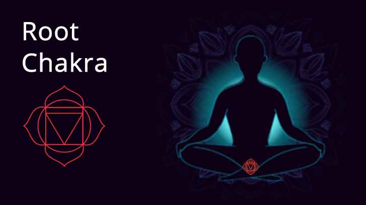 Root Chakra - Know About The 1st Chakra Muladhara