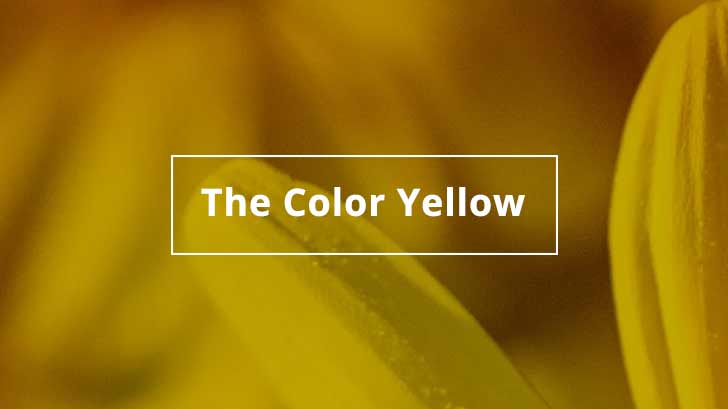 The Enthusiastic Yellow Color - Significance of Yellow Color in Astrology
