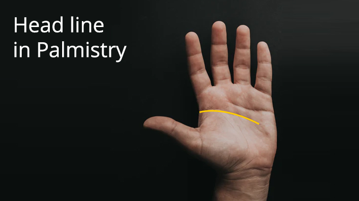 Head line in Palmistry - Astroyogi
